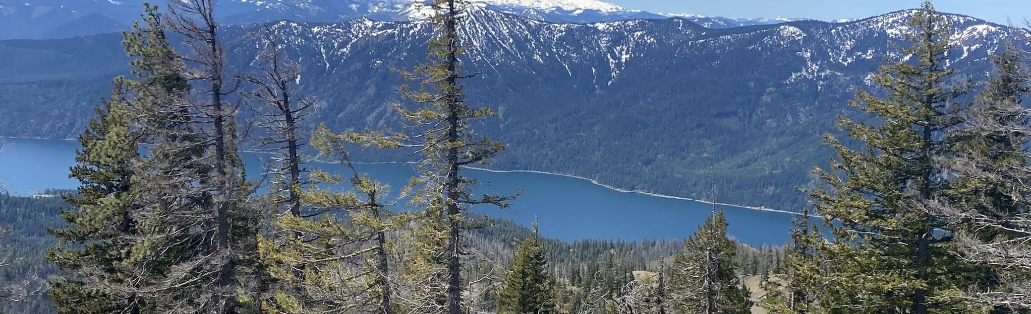 Hex Mountain Trail: 1046 Reviews, Map - Washington | AllTrails