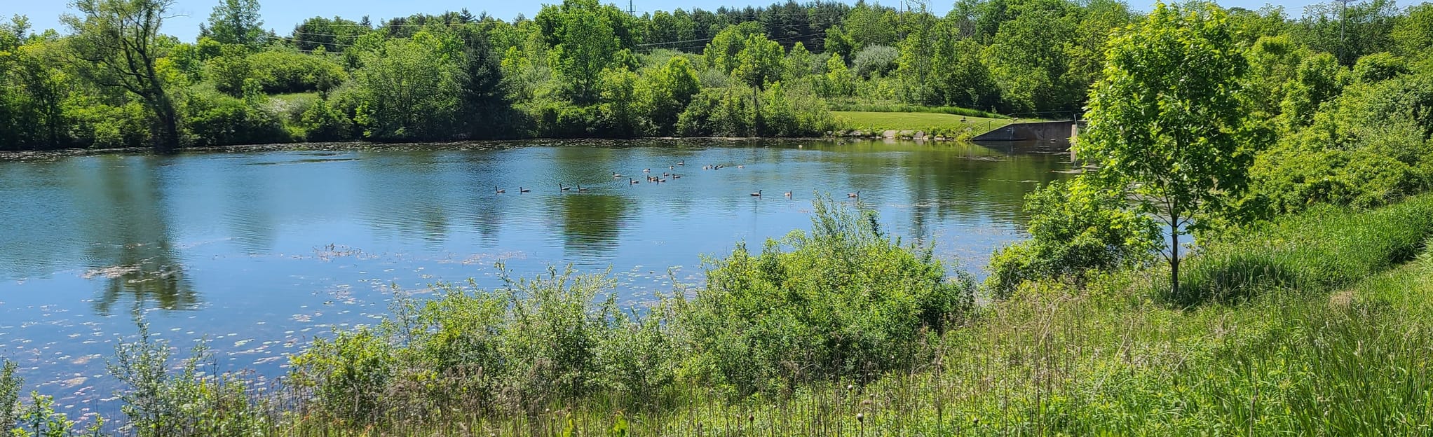 Seven Lakes Loop, Michigan - 833 Reviews, Map | AllTrails