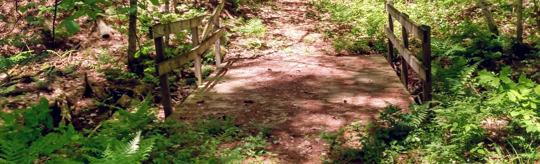 Beaver Brook Wildlife Area, Wisconsin - 13 Reviews, Map | AllTrails