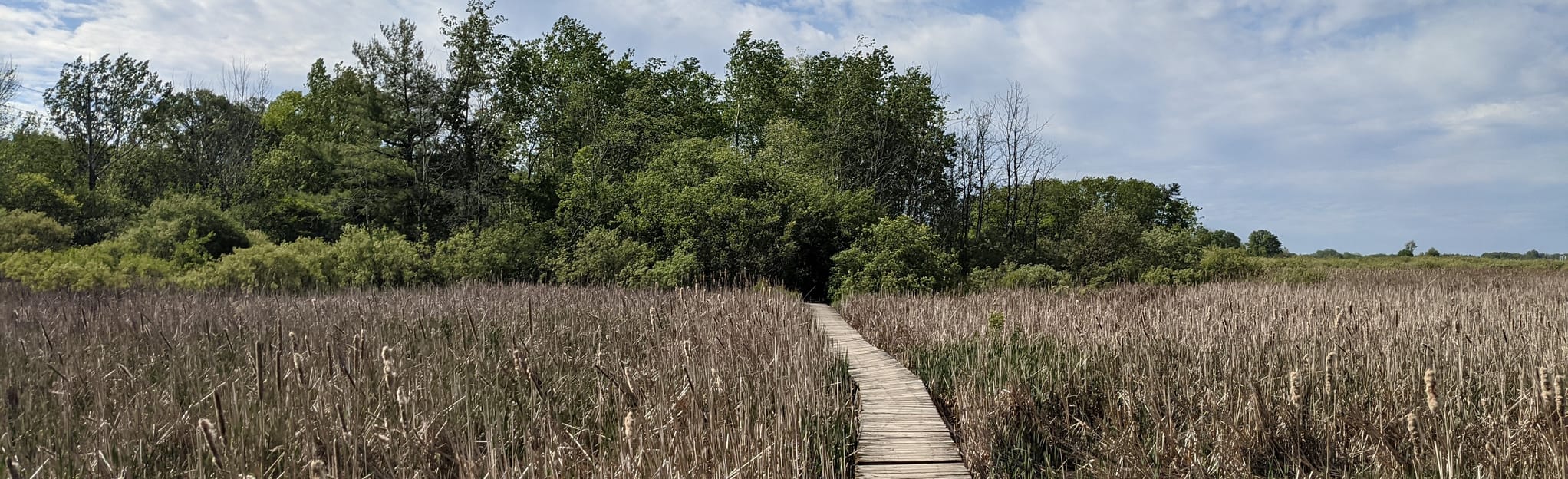 Marshlands Rideau Trail [CLOSED]: 59 Reviews, Map - Ontario, Canada ...