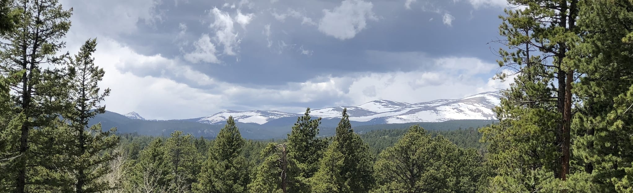 Gordon Gulch Trail, Colorado - 102 Reviews, Map | AllTrails