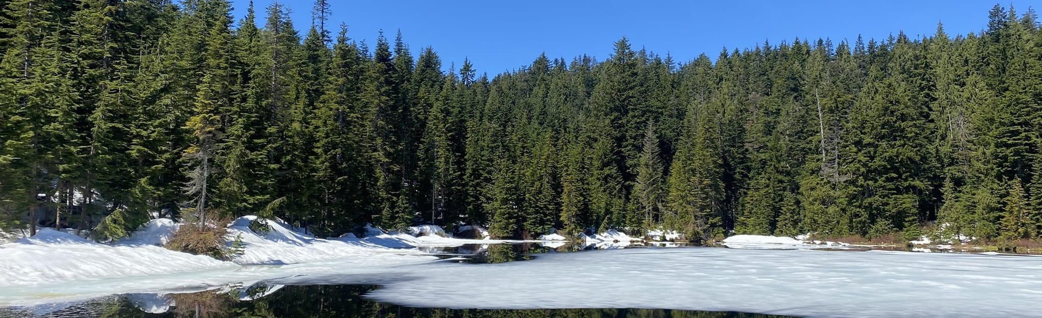 Brother's Creek Loop, British Columbia, Canada - 1,070 Reviews, Map ...