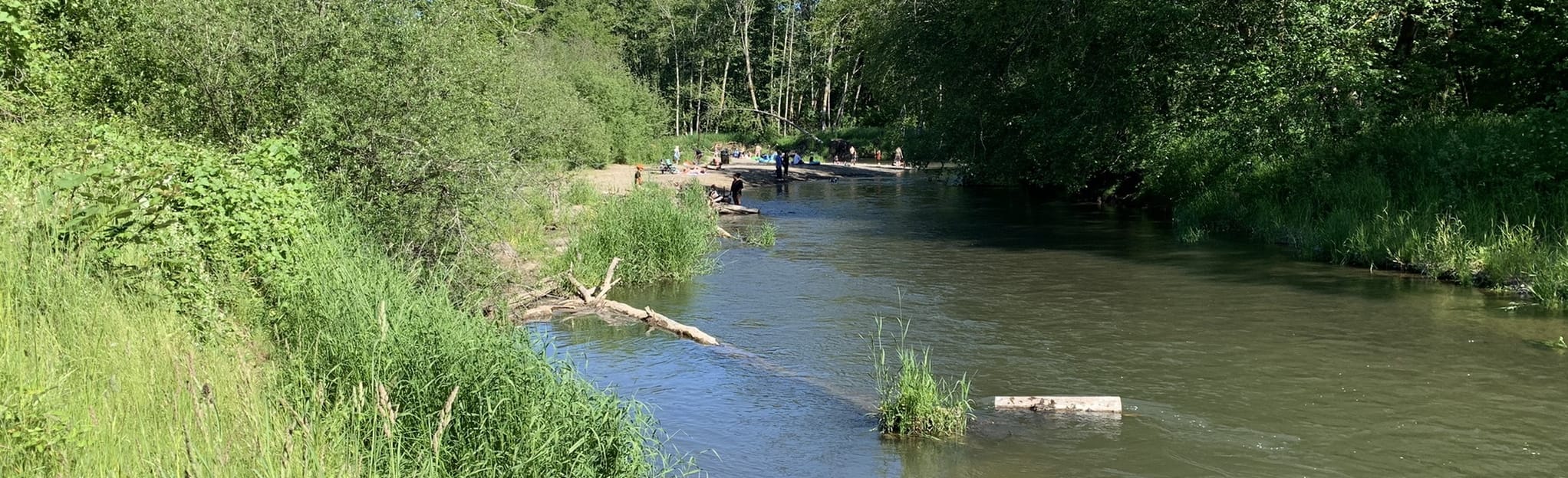 Pioneer Park Loop: 38 fotos - Washington | AllTrails