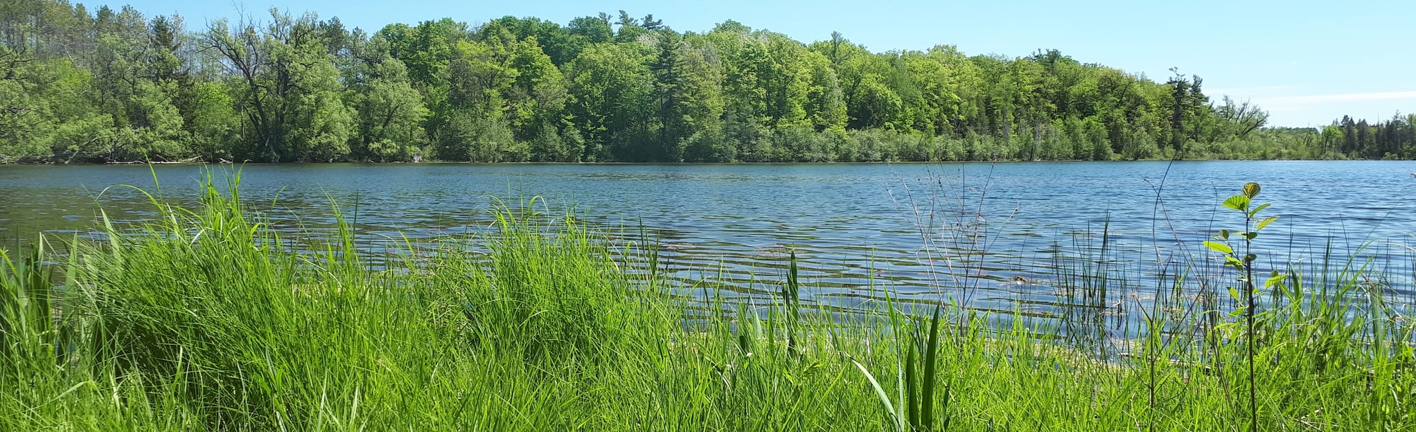 Lake Seneca Loop, Ontario, Canada - 124 Reviews, Map | AllTrails