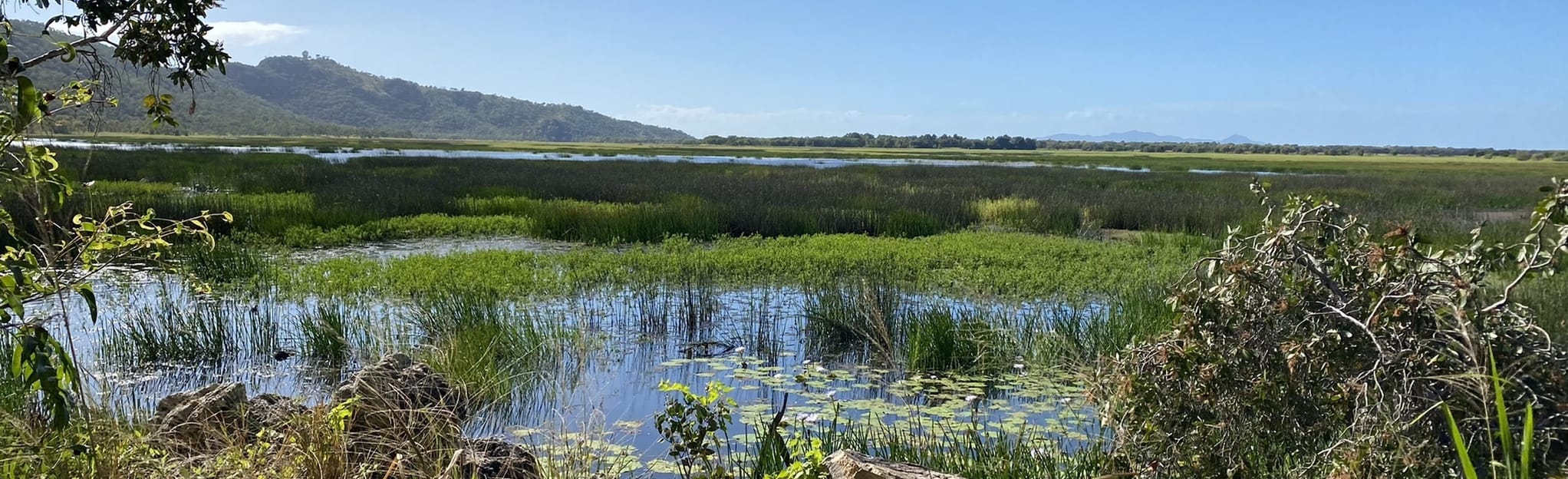 Pallarenda, UTR and Smedleys Loop, Queensland, Australia - 38 Reviews ...