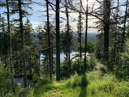 Best Hikes and Trails in Spring Lake/Lake Desire Park | AllTrails