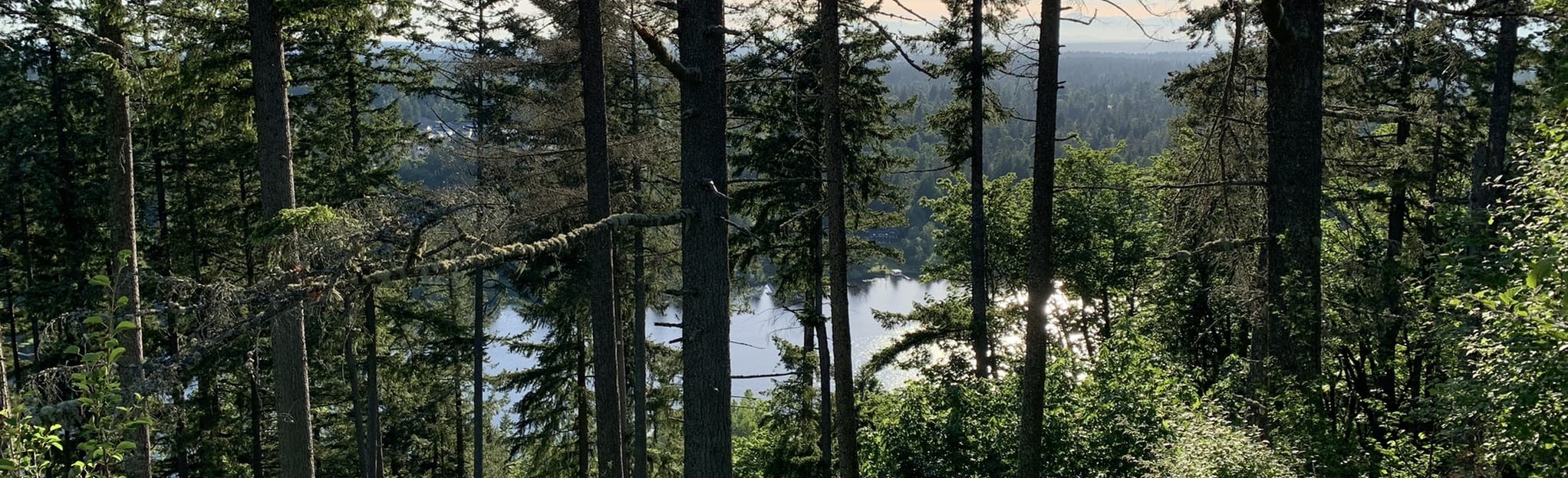 Echo Quarry, Ridge, and Ravine Loop: 164 Reviews, Map - Washington ...