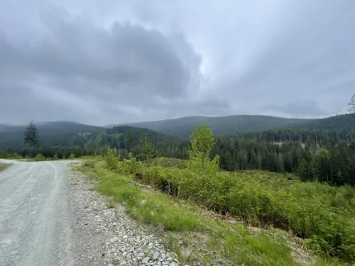 Best Lake Trails in UBC Malcolm Knapp Research Forest | AllTrails