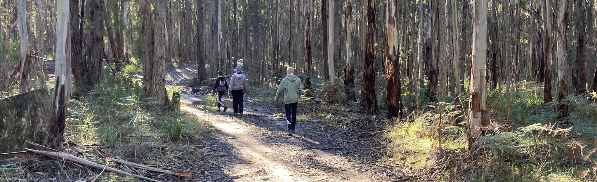 Cricket Ground Track Triangle, Victoria, Australia - 25 Reviews, Map ...