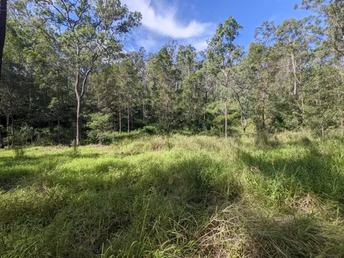 Best Hikes and Trails in Spring Mountain Forest Park | AllTrails