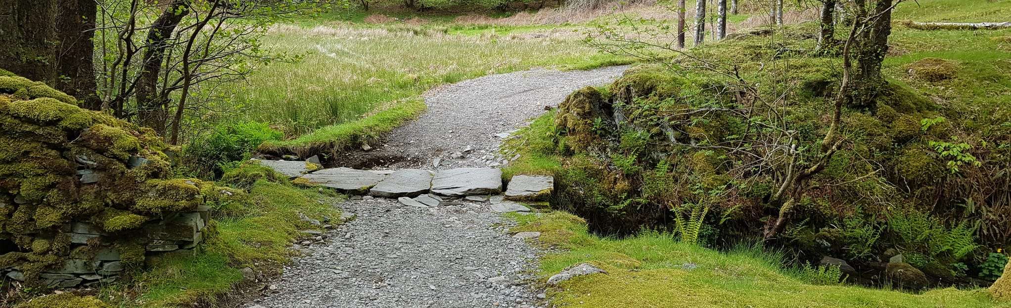 Holme Ground Peat Quarry Circular - Cumbria, England | AllTrails