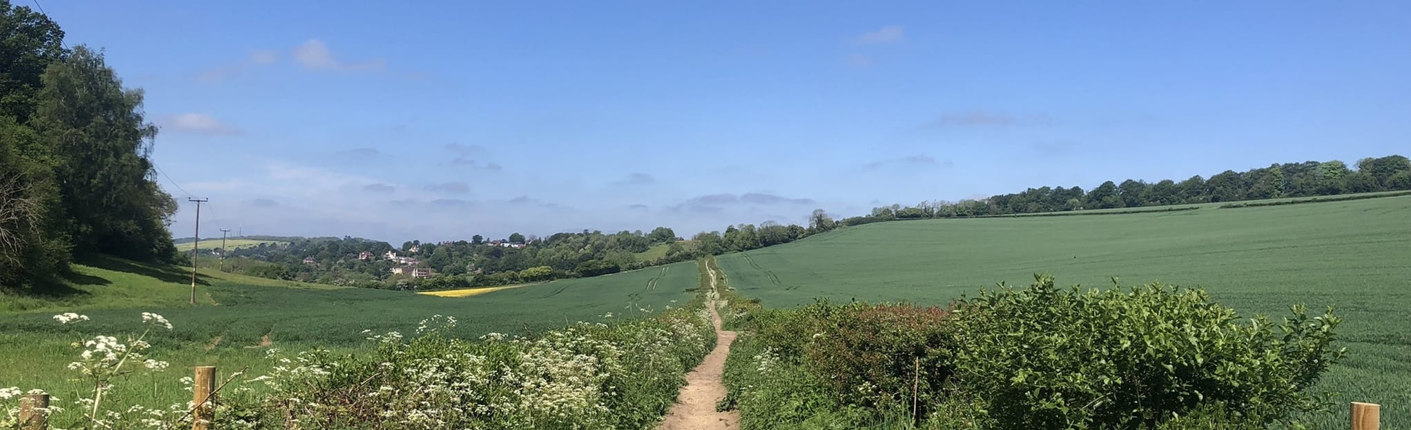 Chantry Woods and Surrey Hills Circular: 419 foto's - Surrey, Engeland ...