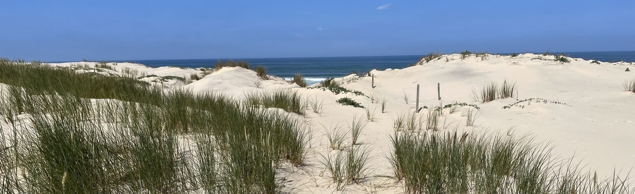 Biscarrosse Plage: Forest and Dune | Map, Guide - Landes, France ...