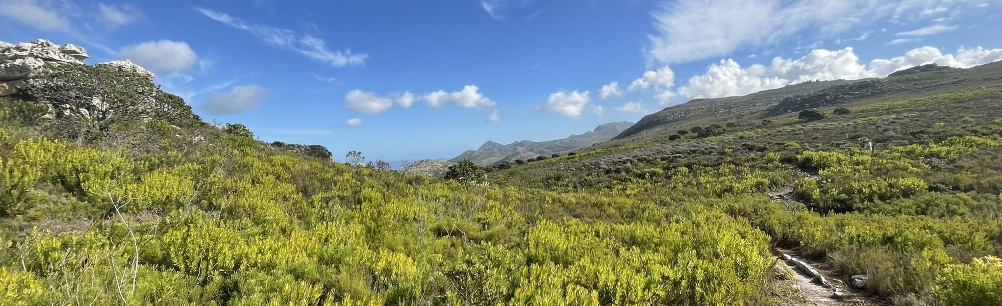 Muizenberg Peak Loop: 208 foto's - West-Kaap, Zuid-Afrika | Wandelen ...