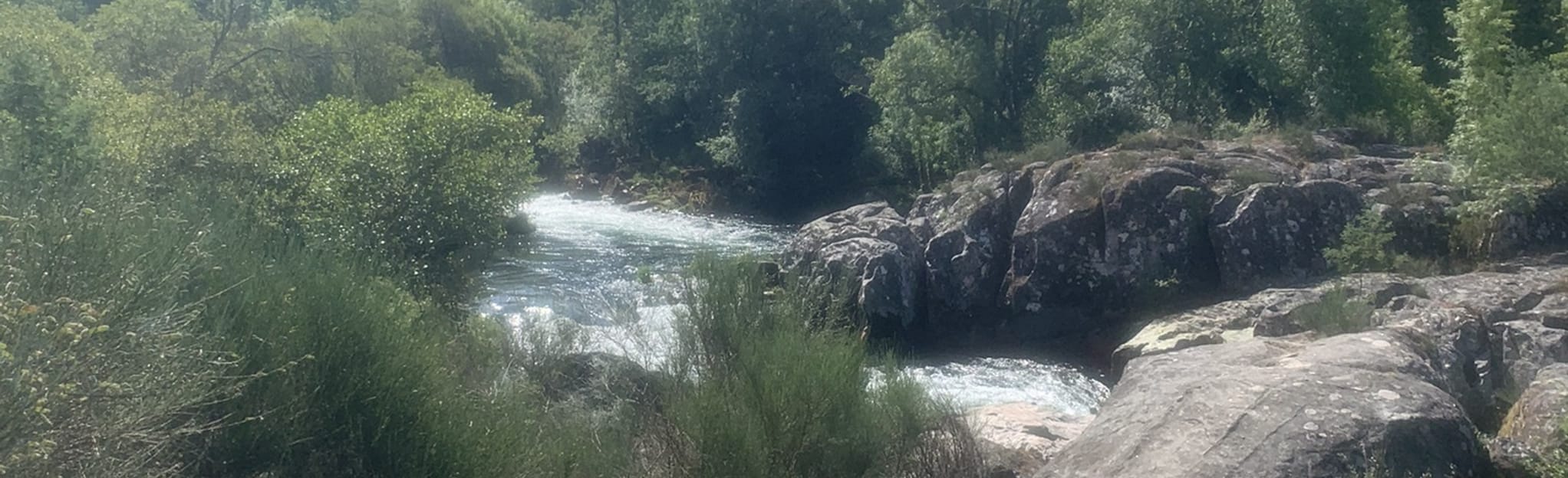 Sendero del río Tea, 9 Fotos - Pontevedra, Spain | AllTrails