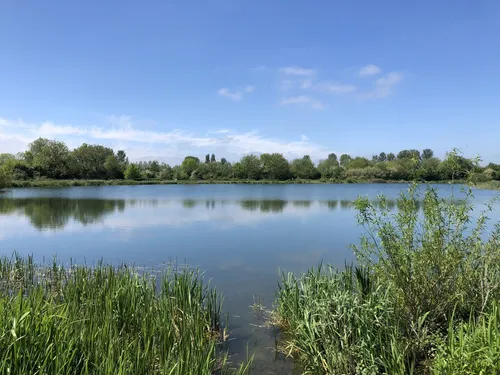10 Best Walking Trails in Witney | AllTrails