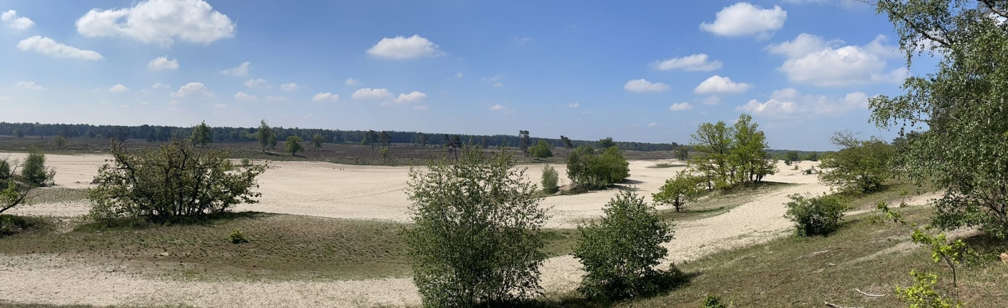 Loonse en Drunense Duinen Black MTB Trail: 68 Reviews, Map - North ...