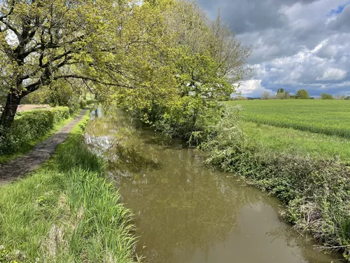 10 Best Trails, Walks, and Paths in Henley-in-Arden | AllTrails