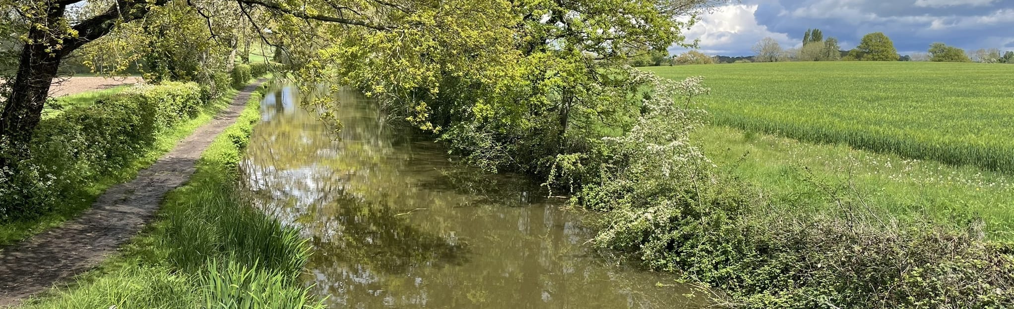 Austy Wood and Stratford-upon-Avon Canal Circular: 90 foto's ...