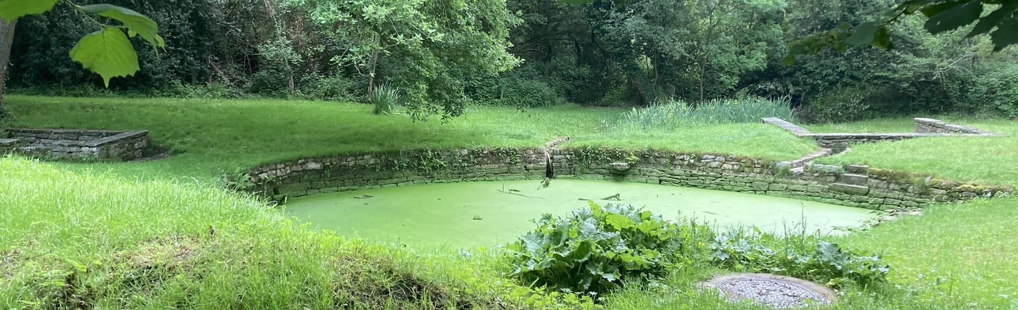 Kerogan Bay - Keradennec Wood - Odet Valley: 17 foto's - Finistère ...