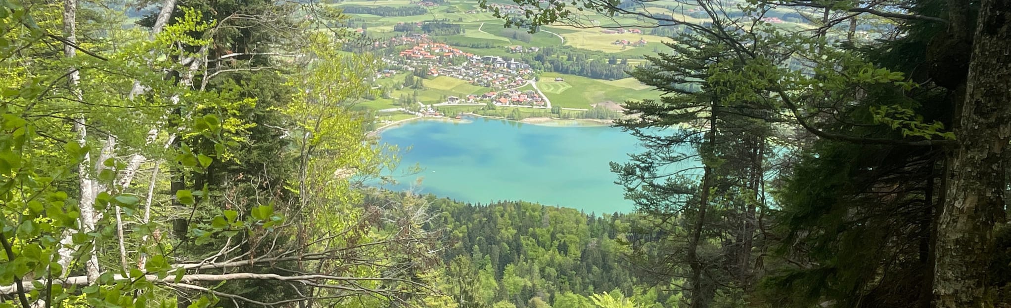 Via Alpina Purple Trail, Segment 63 : Füssen - Pfronten, Bavaria ...