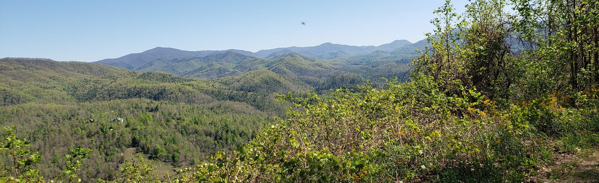 Mill Ridge Trail, North Carolina - 159 Reviews, Map | AllTrails