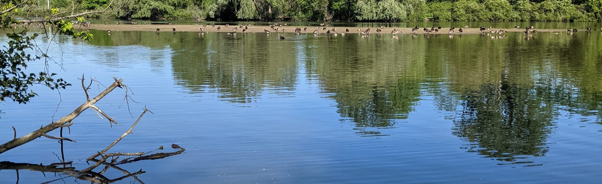 Strathroy Rotary Memorial Trail: Alexandra Park: 94 Reviews, Map ...