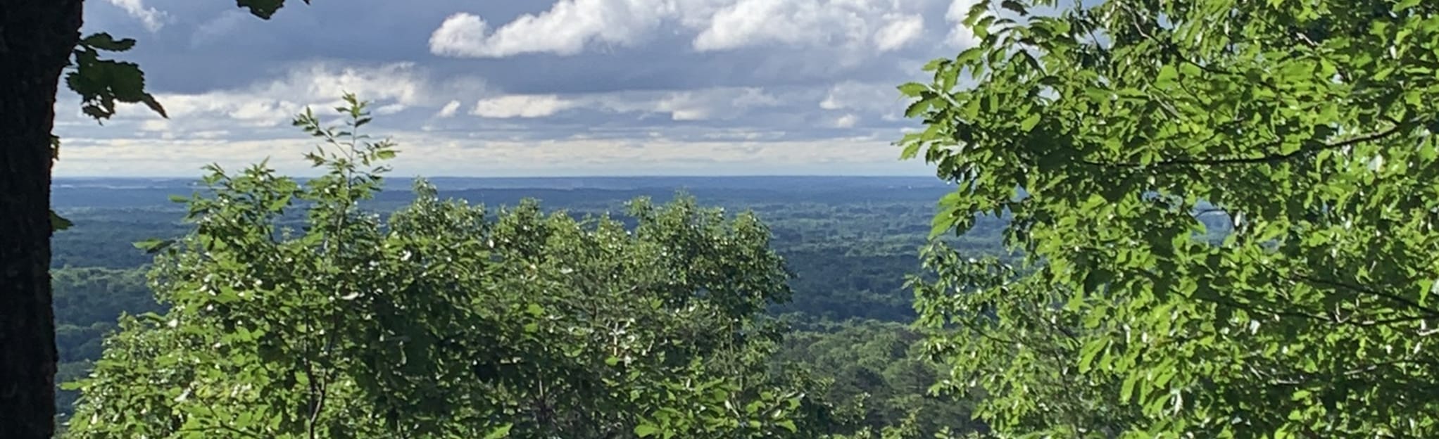 Brissy Ridge, South Carolina - 1,672 Reviews, Map | AllTrails