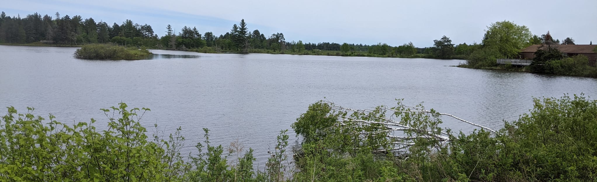 Pine Ridge Nature Trail Loop: 61 Reviews, Map - Michigan | AllTrails