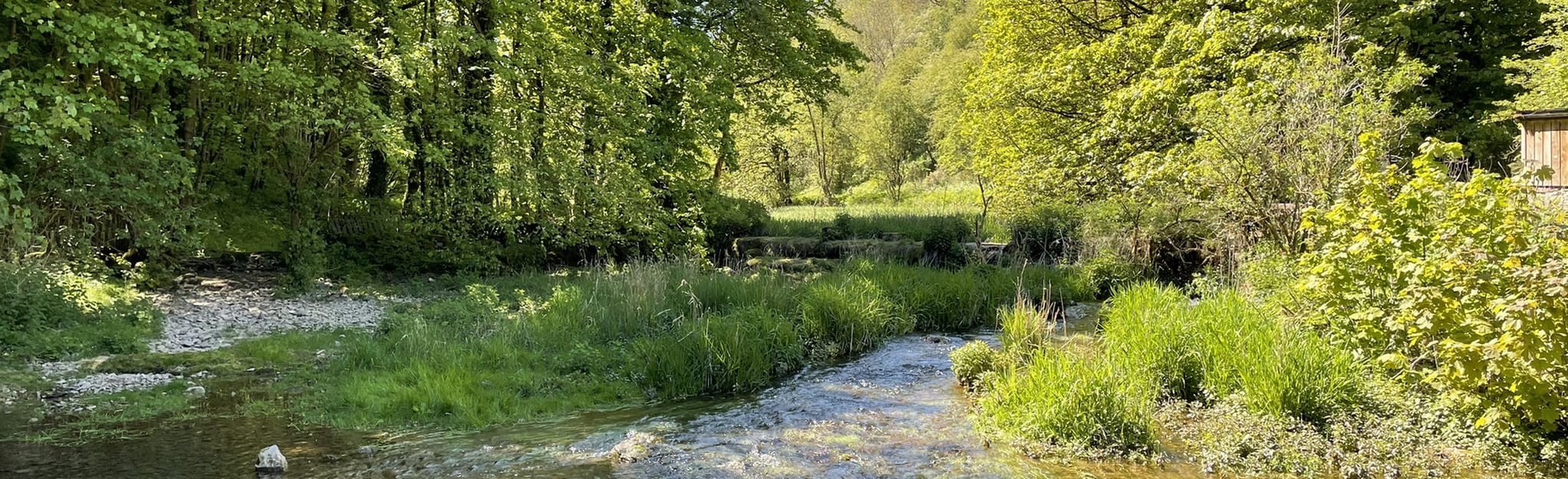 Bakewell, Over Haddon and Lathkill Dale Circular: 12 Reviews, Map ...