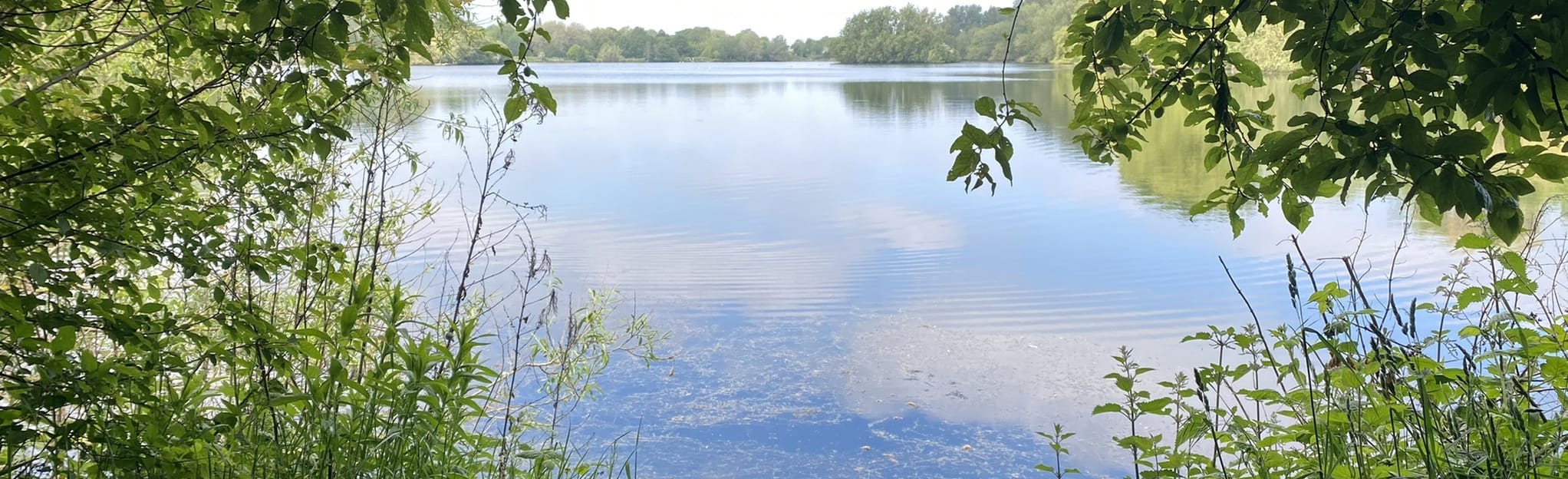 Delapre Lake and Becks Meadow Circular, Northamptonshire, England - 58 ...