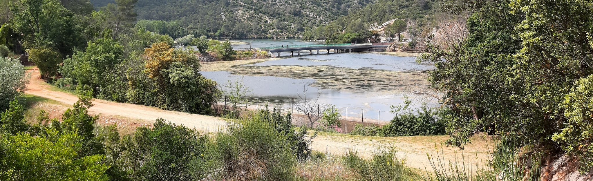 AllTrails | Cabasse - Carcès Lake: 15 Reviews, Map - Var, France