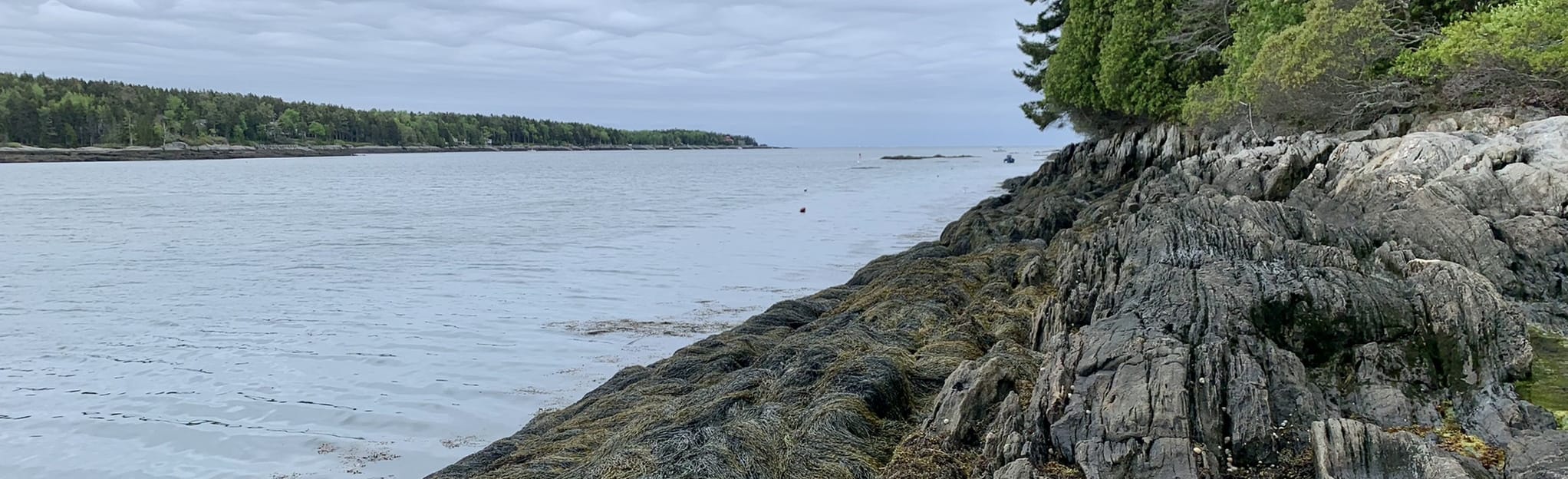 Devil's Back Trail: East Side, Maine - 250 Reviews, Map | AllTrails