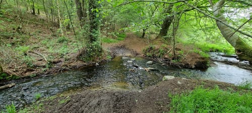 2023 Best Moderate Trails in Forêt domaniale de Saint-Sever | AllTrails