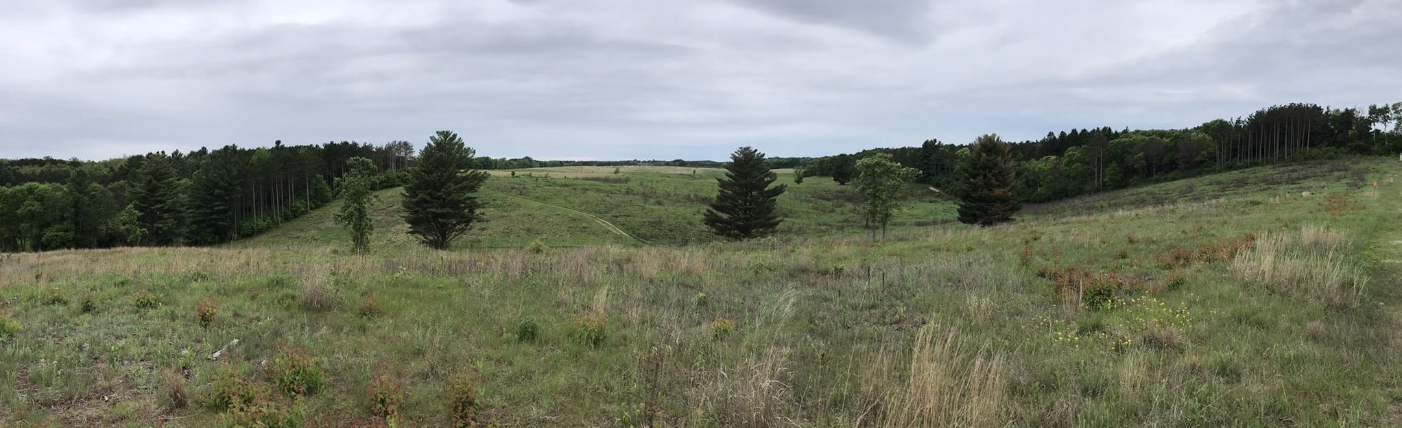 Butterfly, Coneflower, and Big Bluestem Loop, Minnesota - 25 Reviews ...
