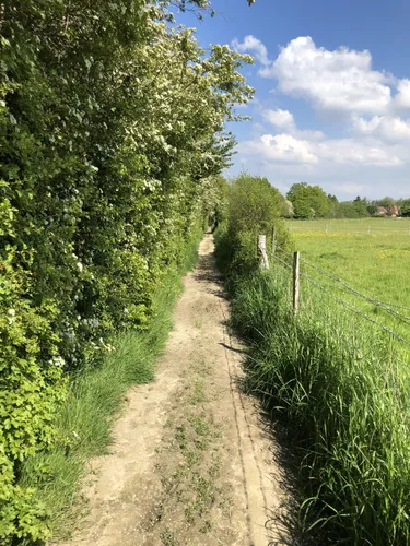 10 Best Trails, Walks, and Paths in Crowborough | AllTrails