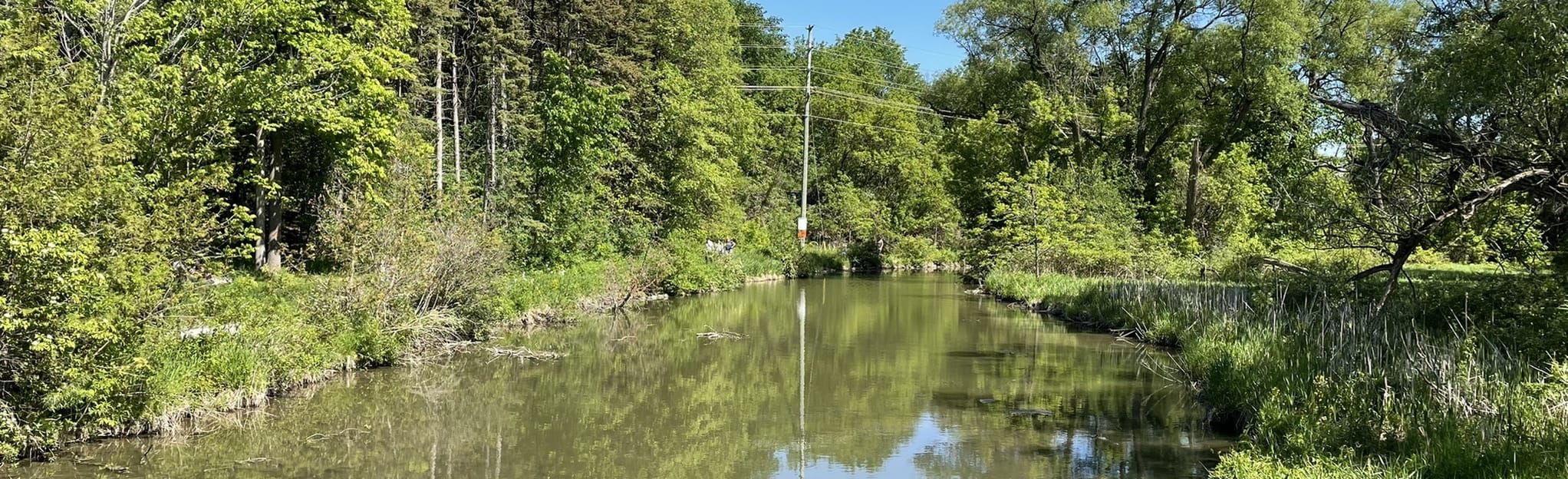 Tom Taylor Trail: 358 Reviews, Map - Ontario, Canada | AllTrails