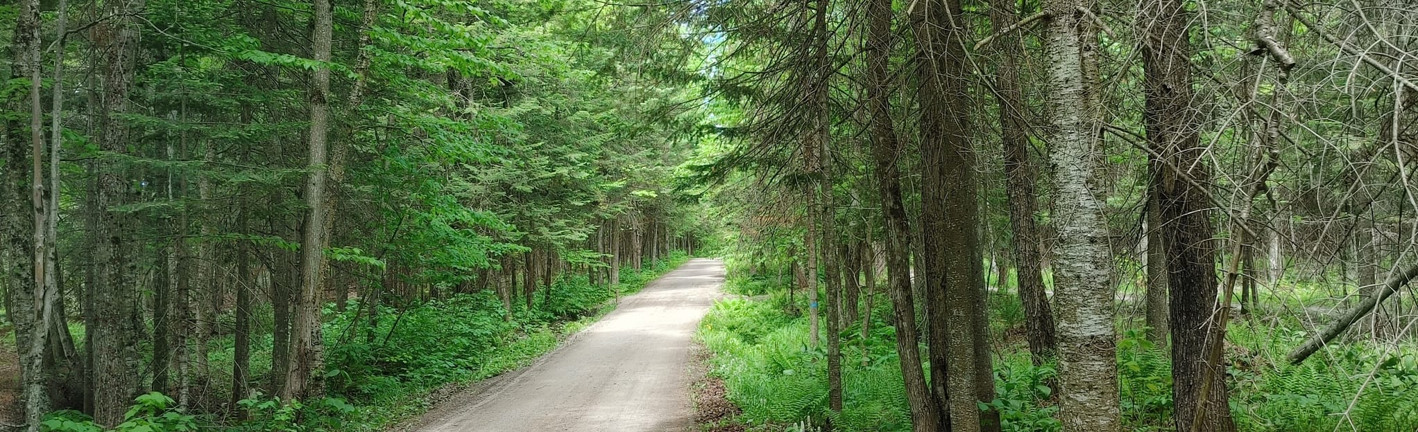 Dansereau Track: 52 Reviews, Map - Quebec, Canada | AllTrails