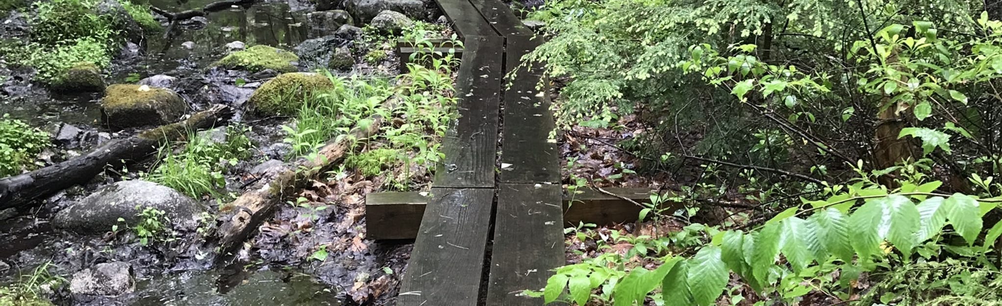 Fisher Hill via Midstate Trail, Massachusetts - 51 Reviews, Map | AllTrails