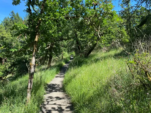 10 Best Trails and Hikes in Eugene | AllTrails