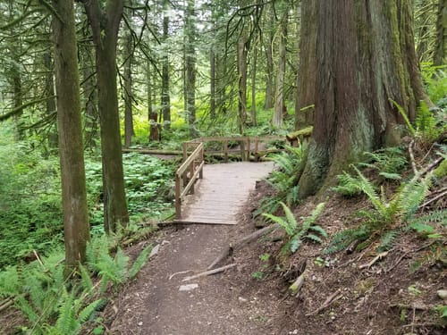 2023 Best 10 Trails and Hikes in Chilliwack | AllTrails