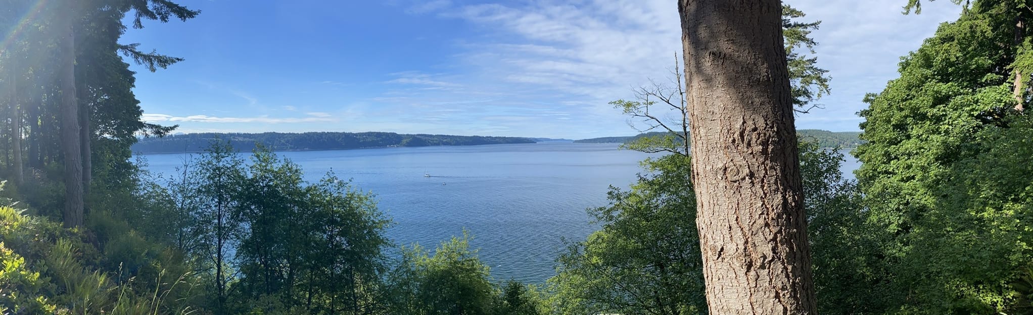 Mountaineer Tree and Dalco Passage Viewpoint via Outside Blue Trail ...