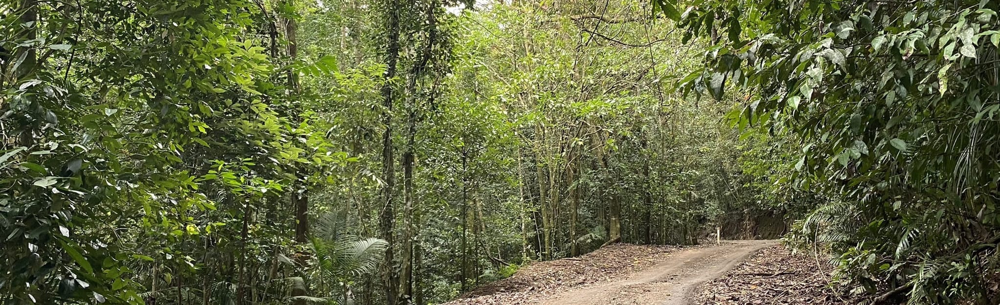 Varch Creek Trail: 2 Reviews, Map - Queensland, Australia | AllTrails