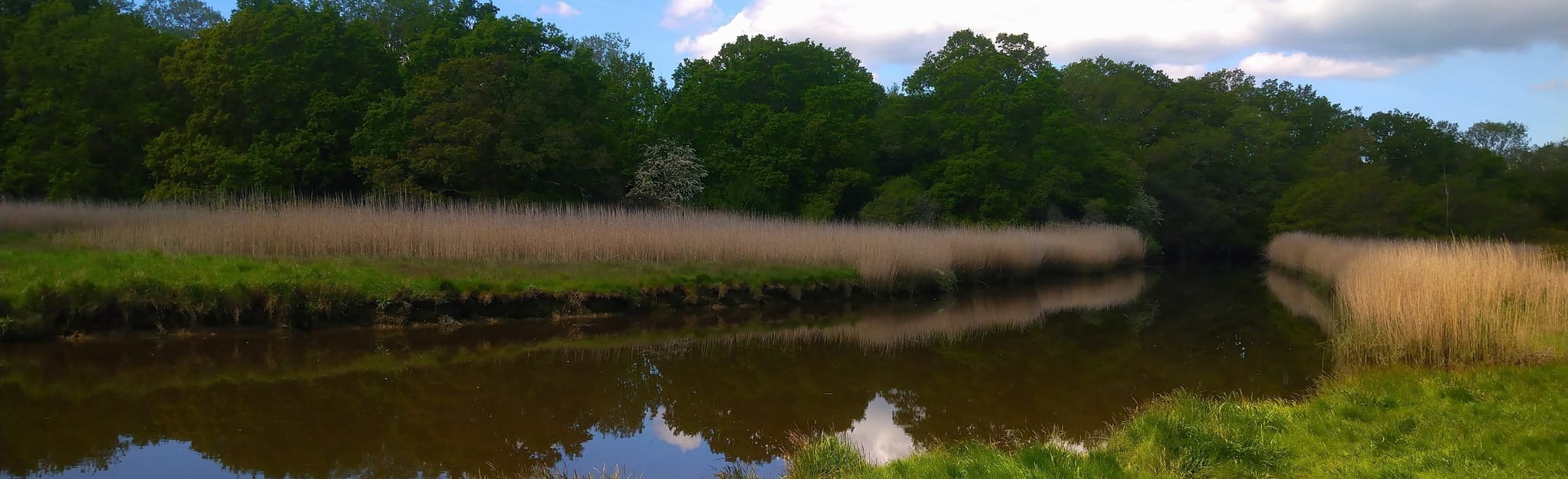 Bartley Water and Eling Mill Pond Circular, Hampshire, England - 10 ...