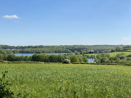 Best Historic Site Trails in Calke Park | AllTrails