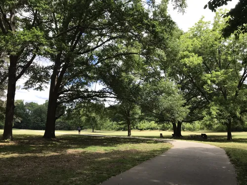 Best Hikes and Trails in Yellow River Park | AllTrails