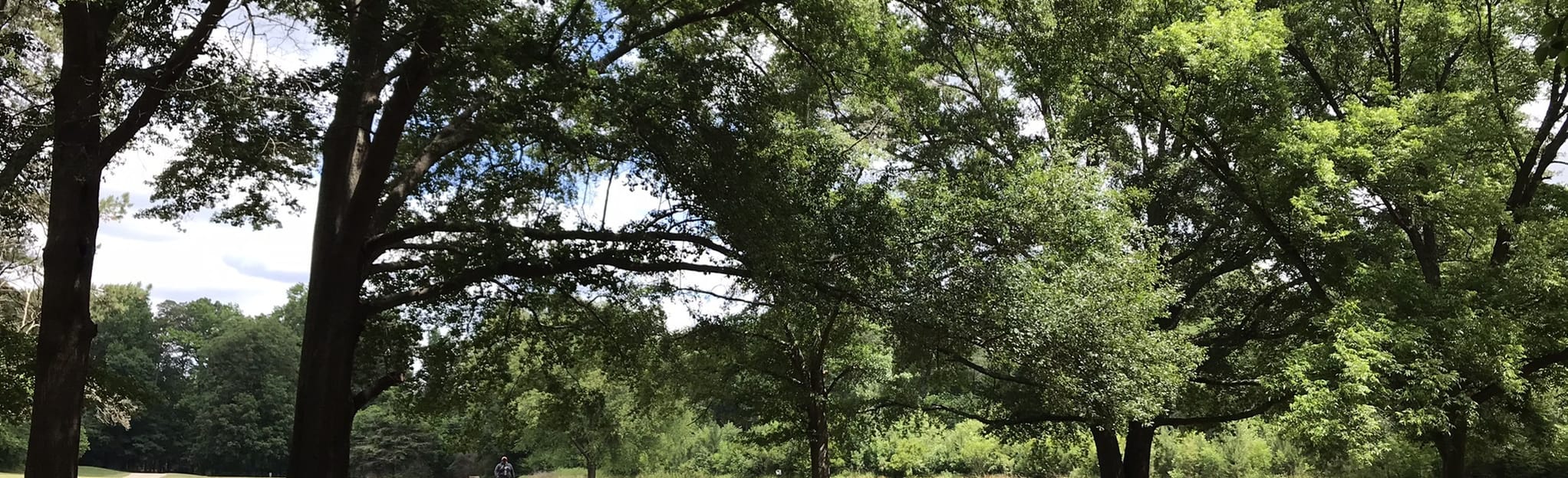 Yellow River Park Multi-Use Trail, Georgia - 216 Reviews, Map | AllTrails