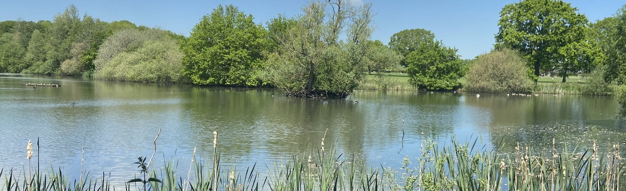 Seven Oaks and East Lake Circular, Kent, England - 51 Reviews, Map ...