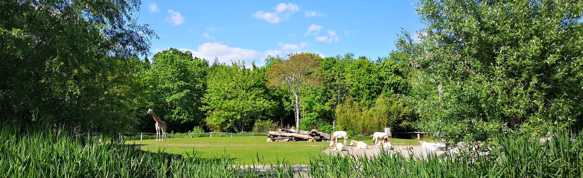 Entlang der Parthe – Von Naunhof bis zur Mündung in Leipzig: 90 Fotos ...