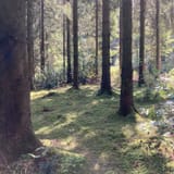 Center Parcs Longleat Forest Circular, Wiltshire, England - 115 Reviews ...